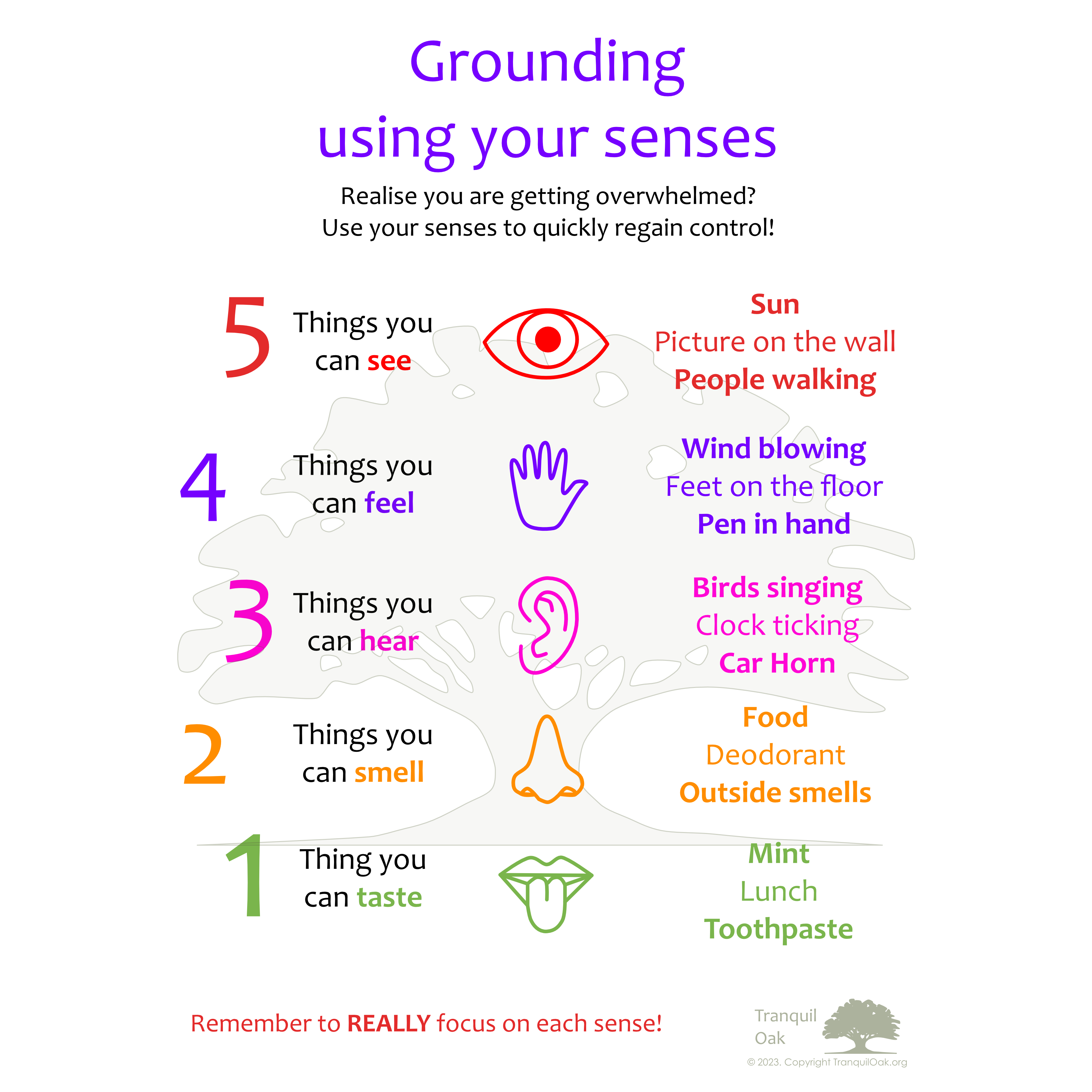 Quick Grounding | Tranquil Oak