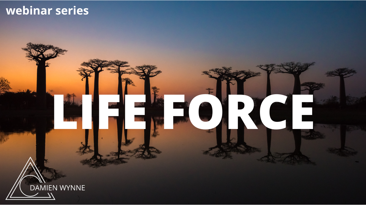 LIFE FORCE | Damien Wynne