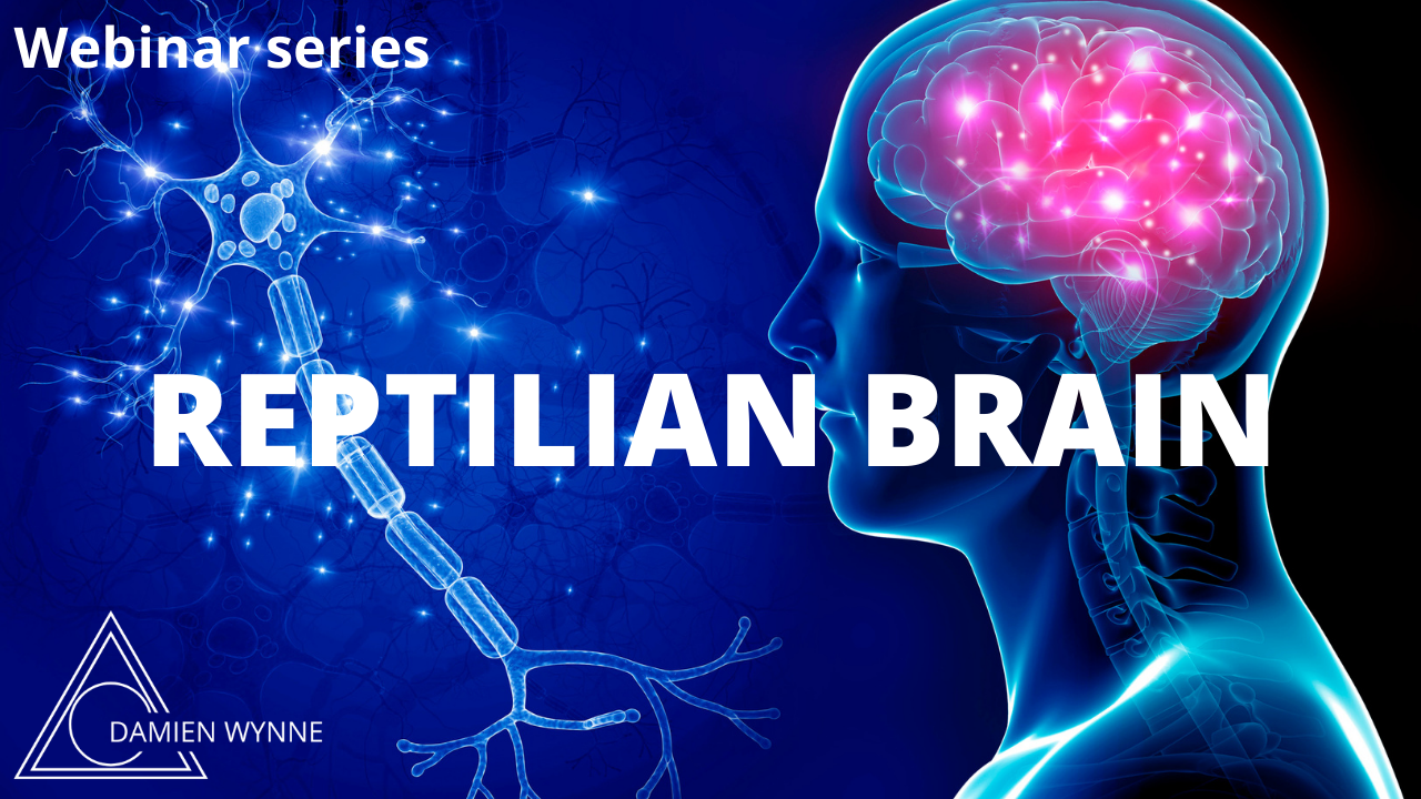 Reptilian Brain | Damien Wynne