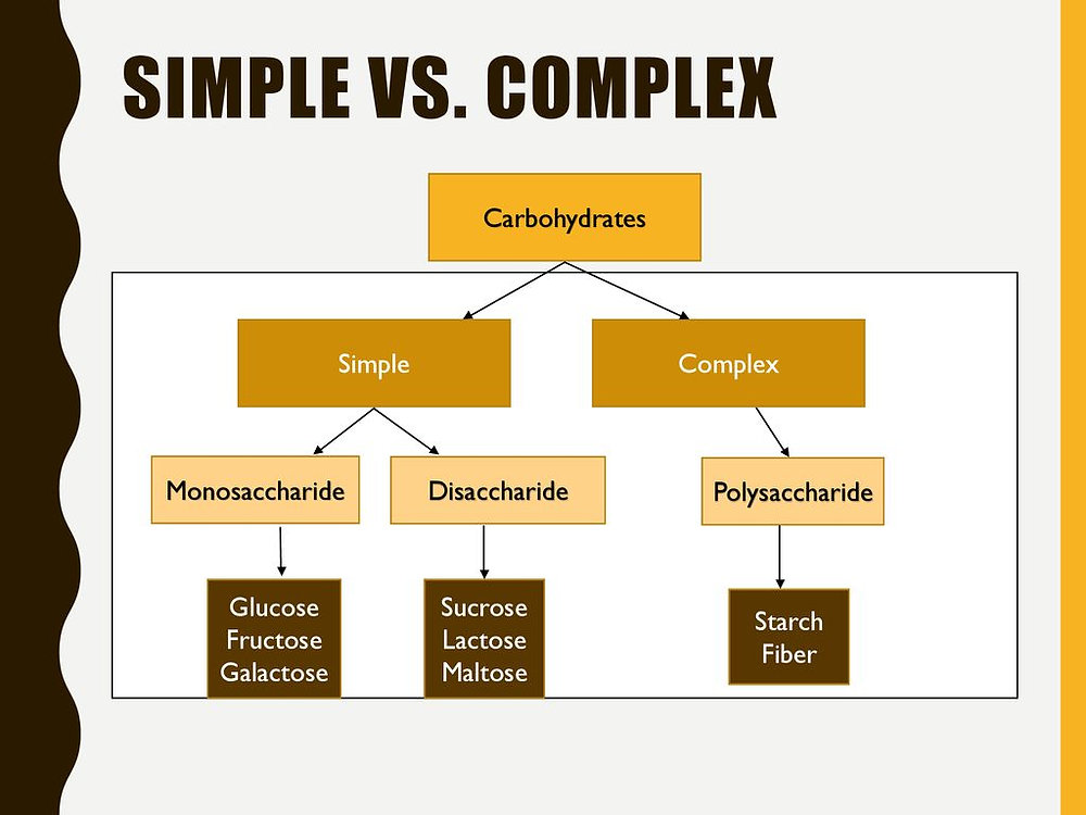 Unveiling the World of Carbohydrates