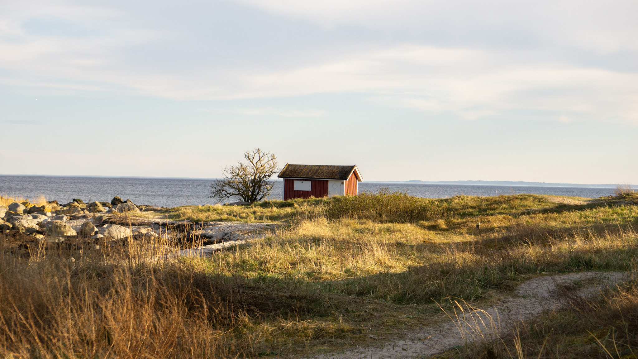 PORTRAITS | The Canadian Guy