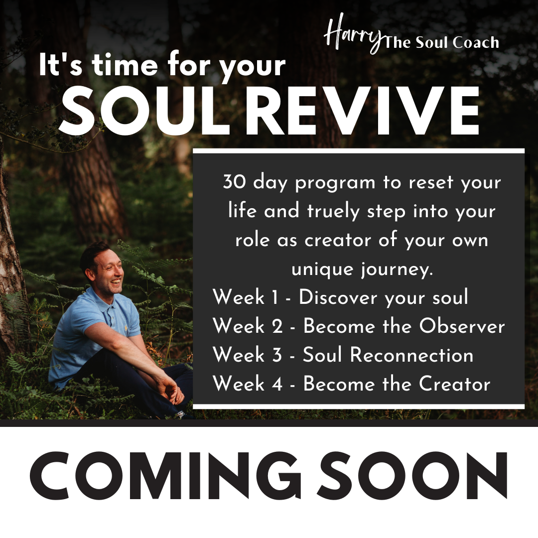 SOUL REVIVE | Harry The Soul Coach