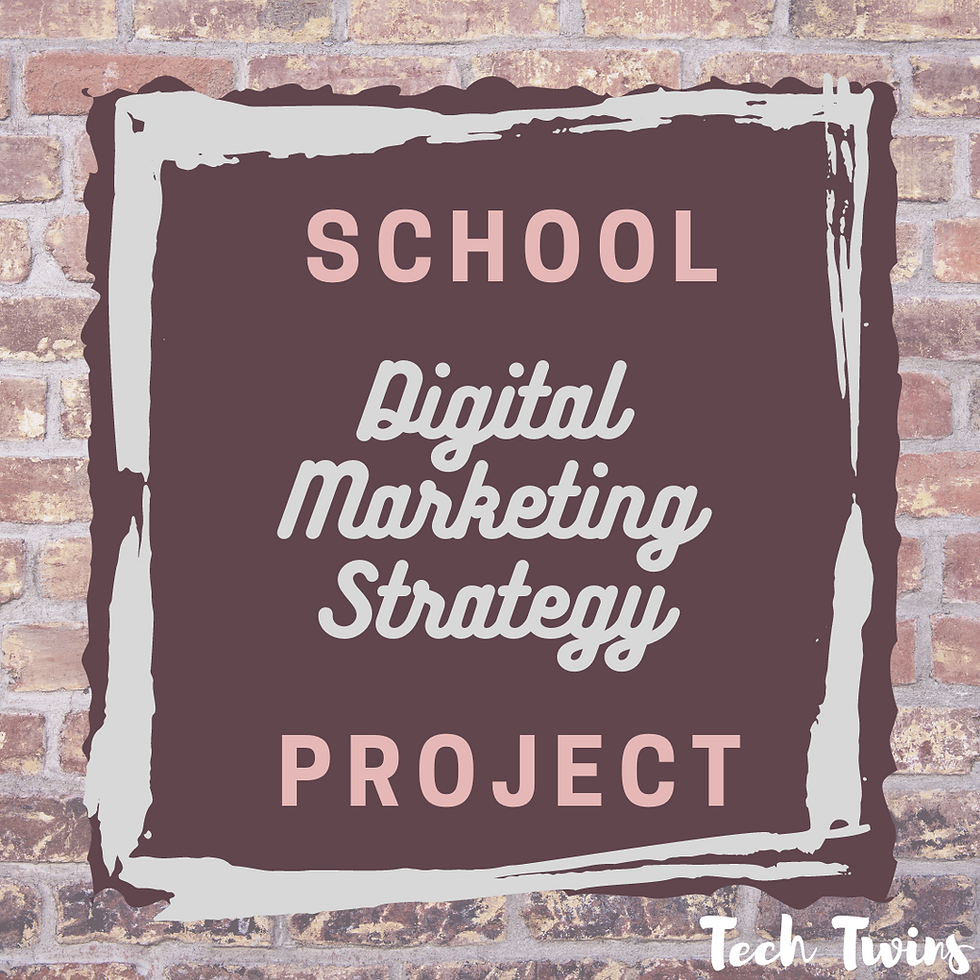 School Digital Marketing Strategy Project | Tech Twins