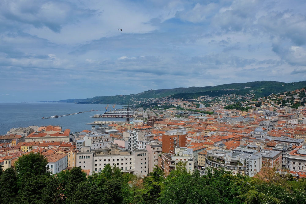 Trieste in 36 hours