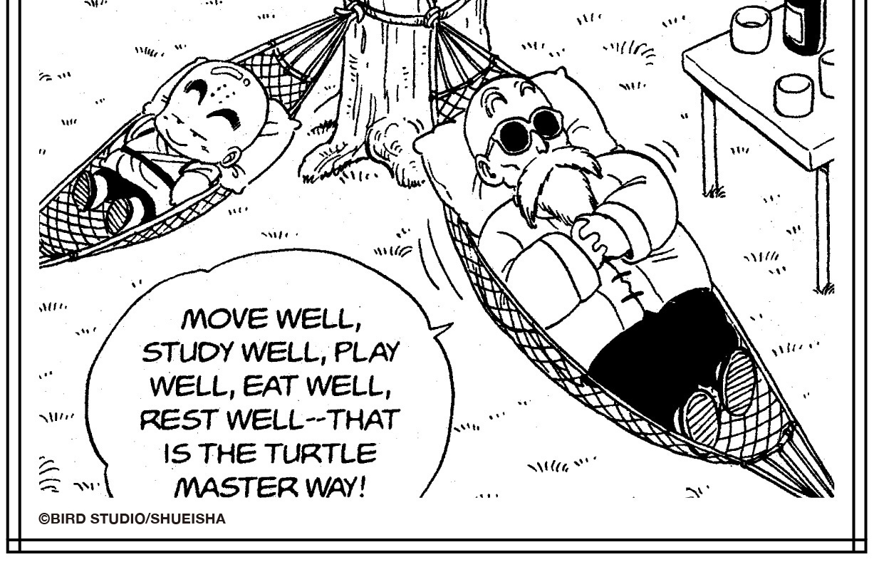 The Turtle Hermit Way: The Enduring Wisdom of a Cartoon Kung Fu Master