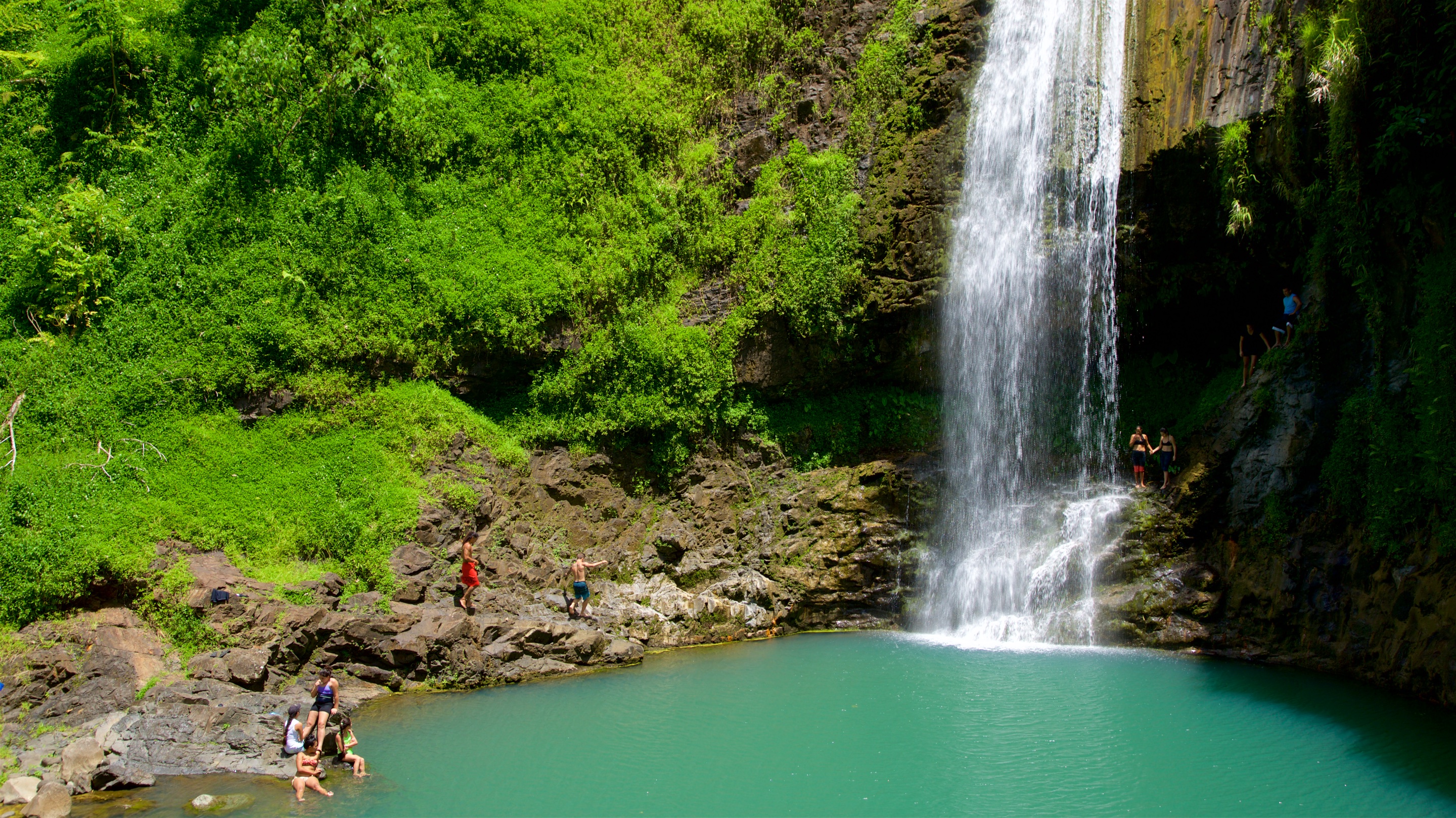 Iaorana Tahiti Expeditions| Cultural tours| Tahiti