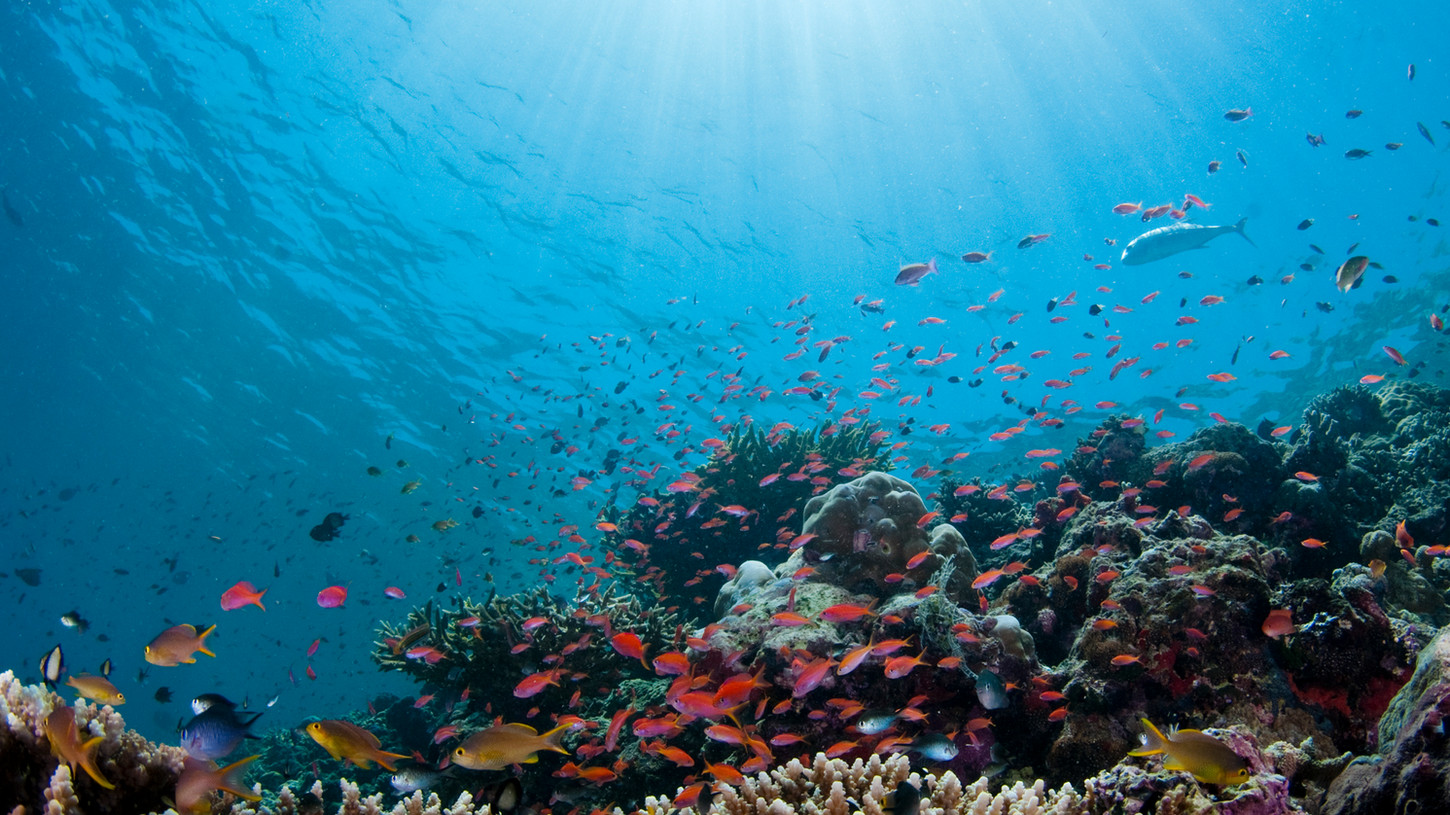 Home | Sabah Blue Economy