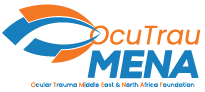 MEOM ACADEMY | Opthtalmology | Dubai - United Arab Emirates