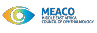 MEOM ACADEMY | eduction | Dubai - United Arab Emirates