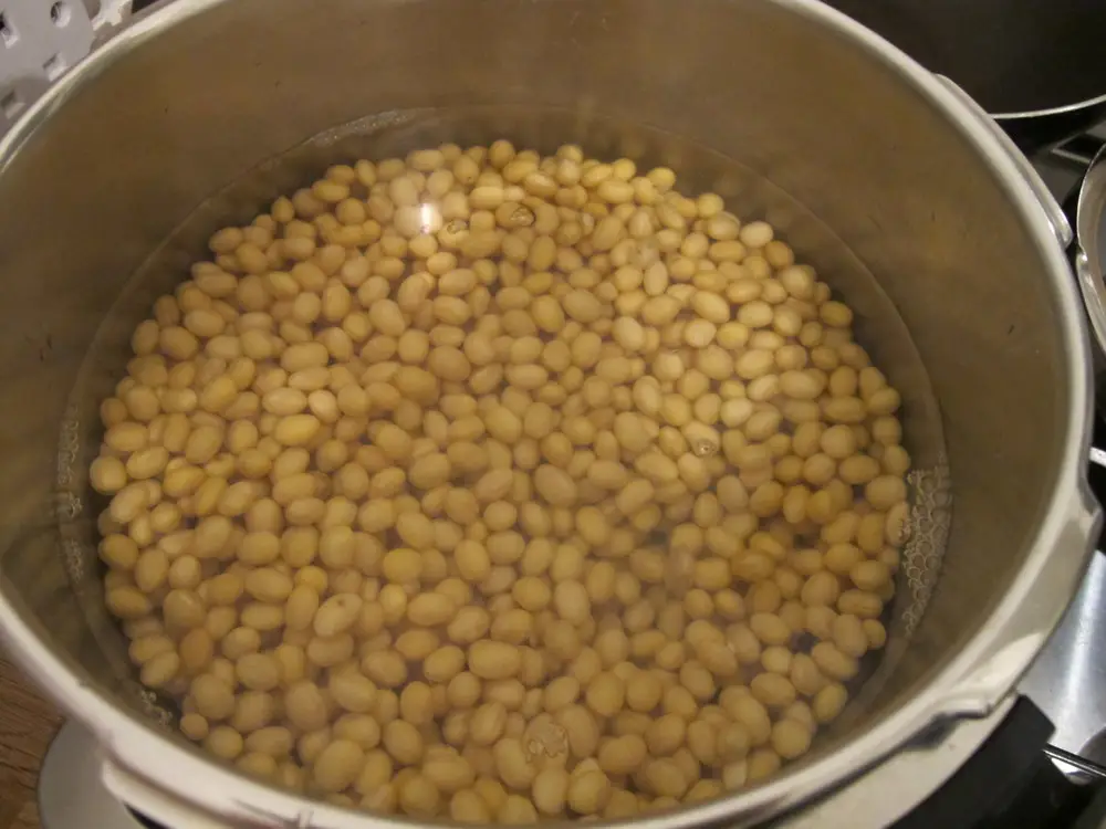 Natto Recipes Including Homemade Natto