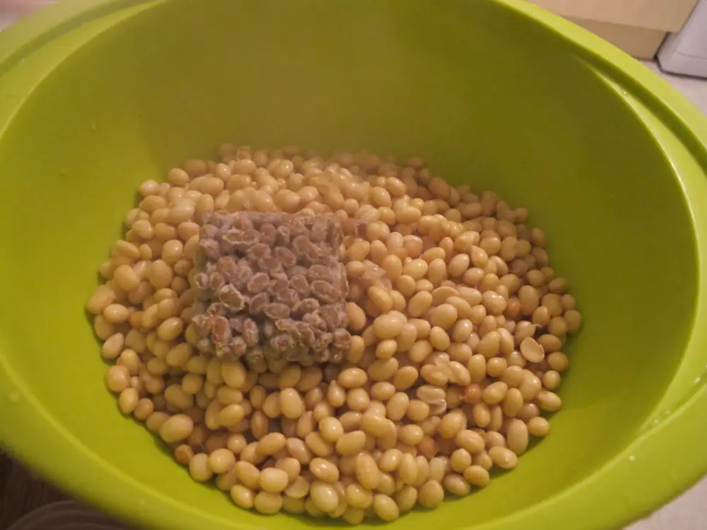 Natto Recipes Including Homemade Natto