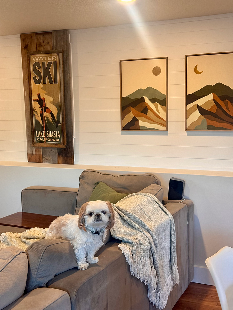 Our Downstairs Makeover with the 2026 Colors of the Year