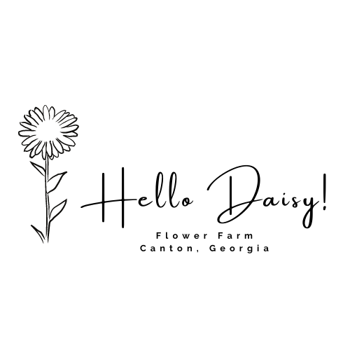 Join "Hello Daisy " on the Spaces by Wix App