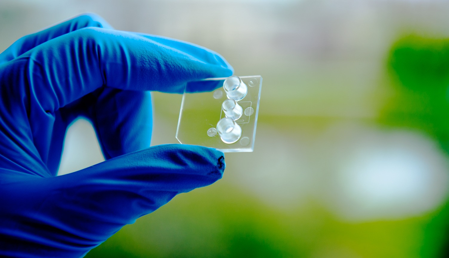 Microfluidic Chips | MiNAN Technologies