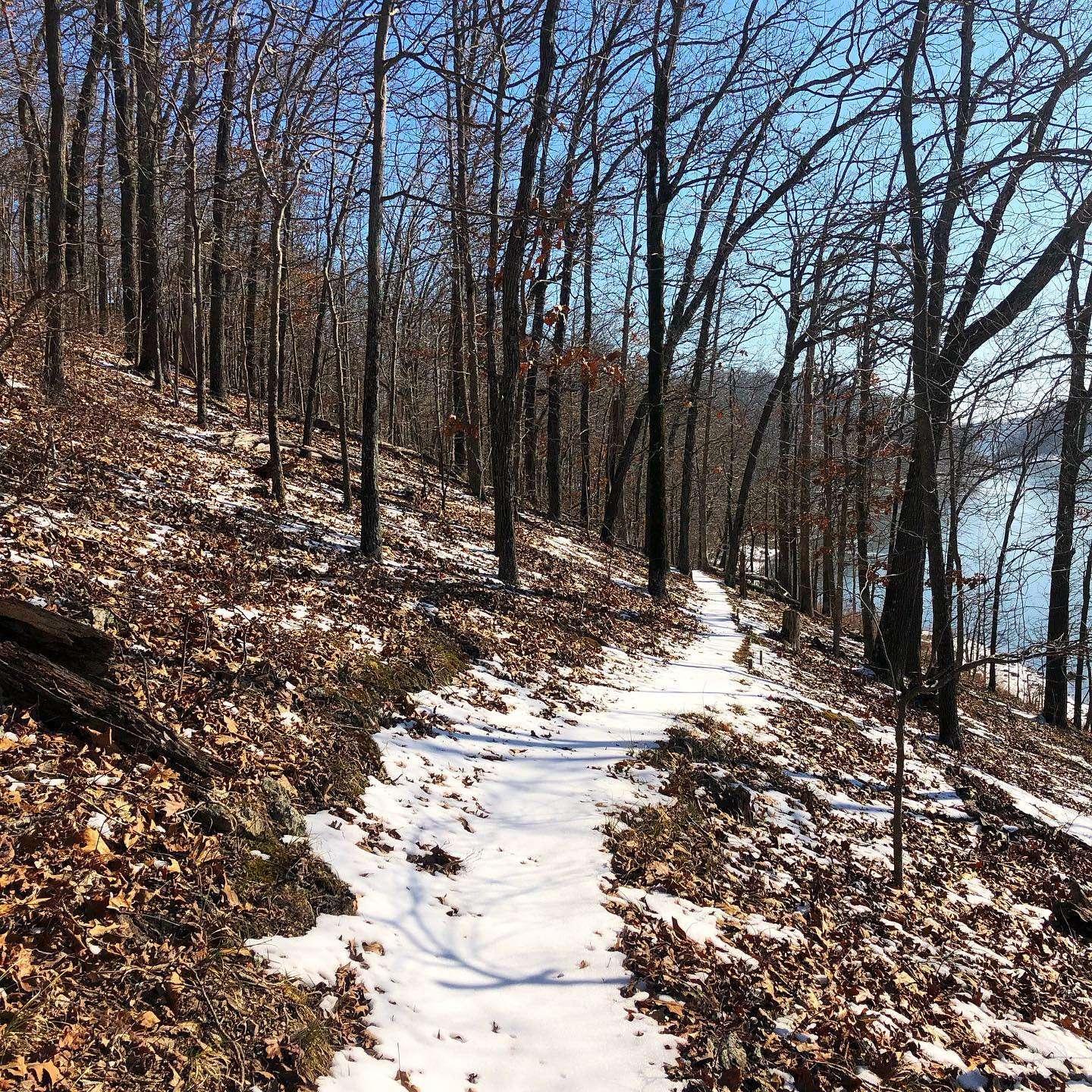 Sam A. Baker State Park Group Hike | Poplar Bluff Trails