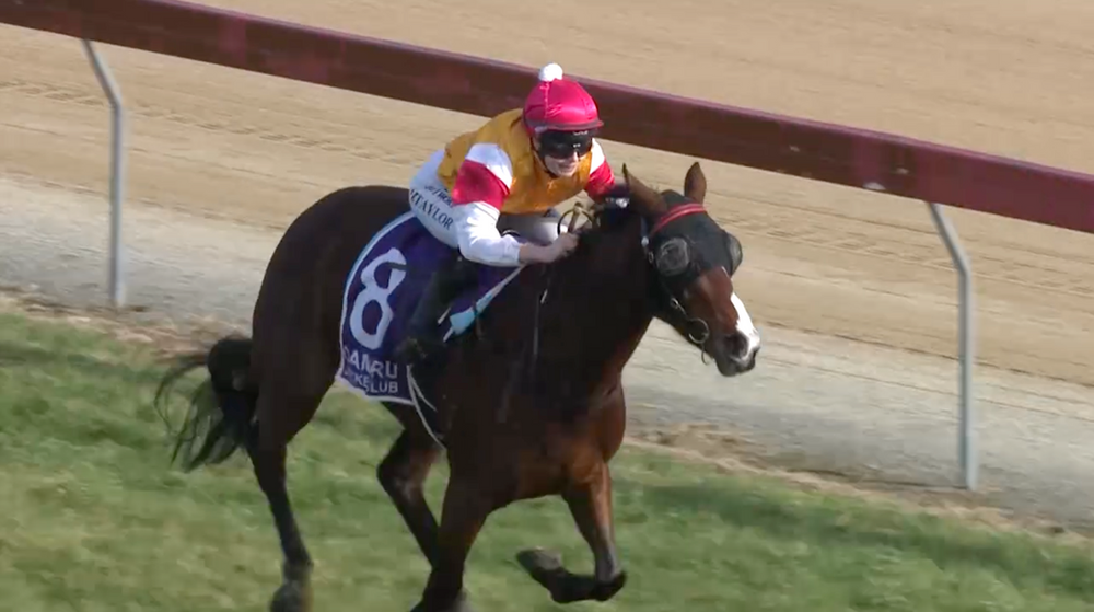 Carston doubles up at Oamaru