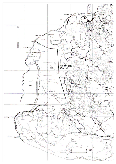 The Great Morass | Negril Research Cent