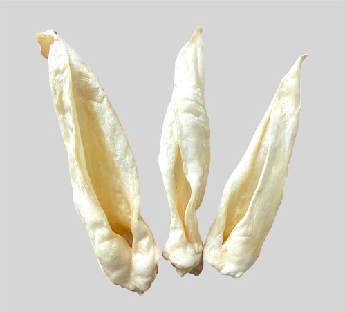 Large Goats Ear | The Pooch Shed