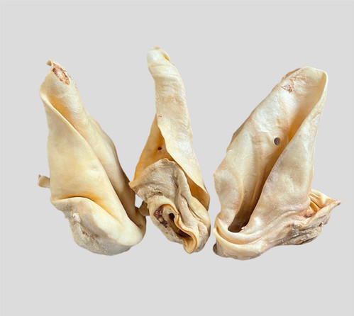 Large Meaty Cow Ears - With Root | The Pooch Shed