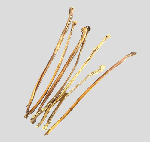 Lamb Pizzles (50g) | The Pooch Shed