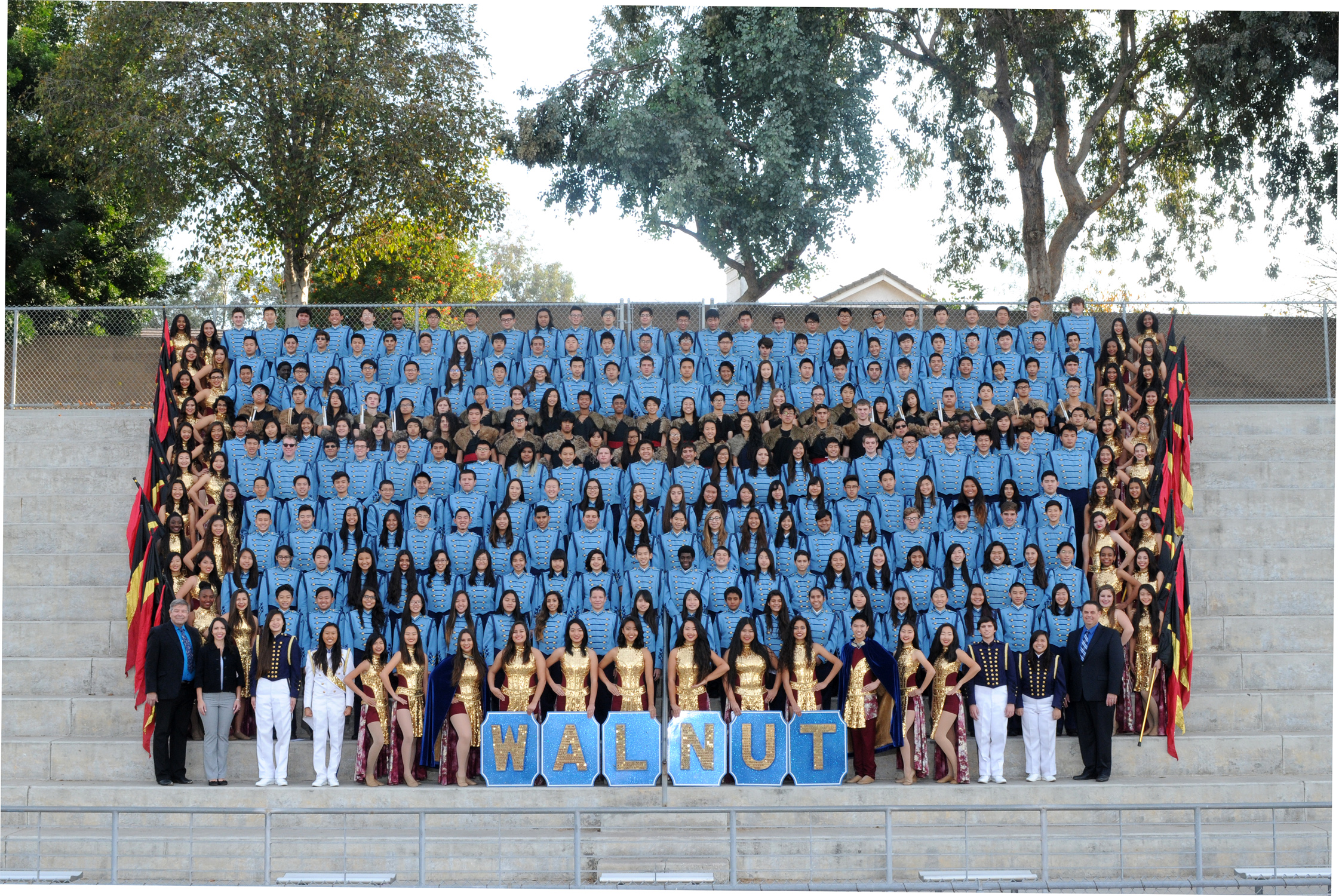 Home | walnuthigharts