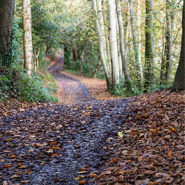 Autumn roundup - what's on in West Cornwall