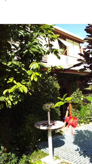 Heritage Guest House Levuka Fiji | Levuka Accommodation