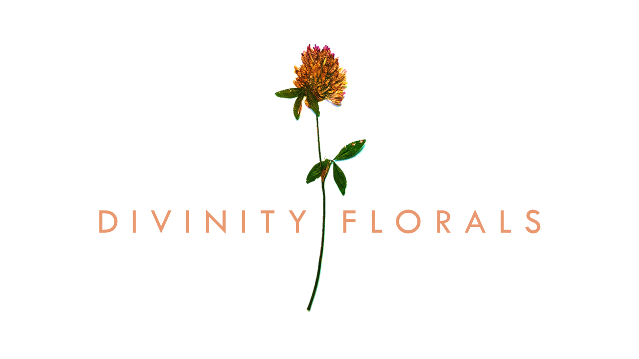 Bridal Bouquet Floral Preservation | Divinity Florals | London