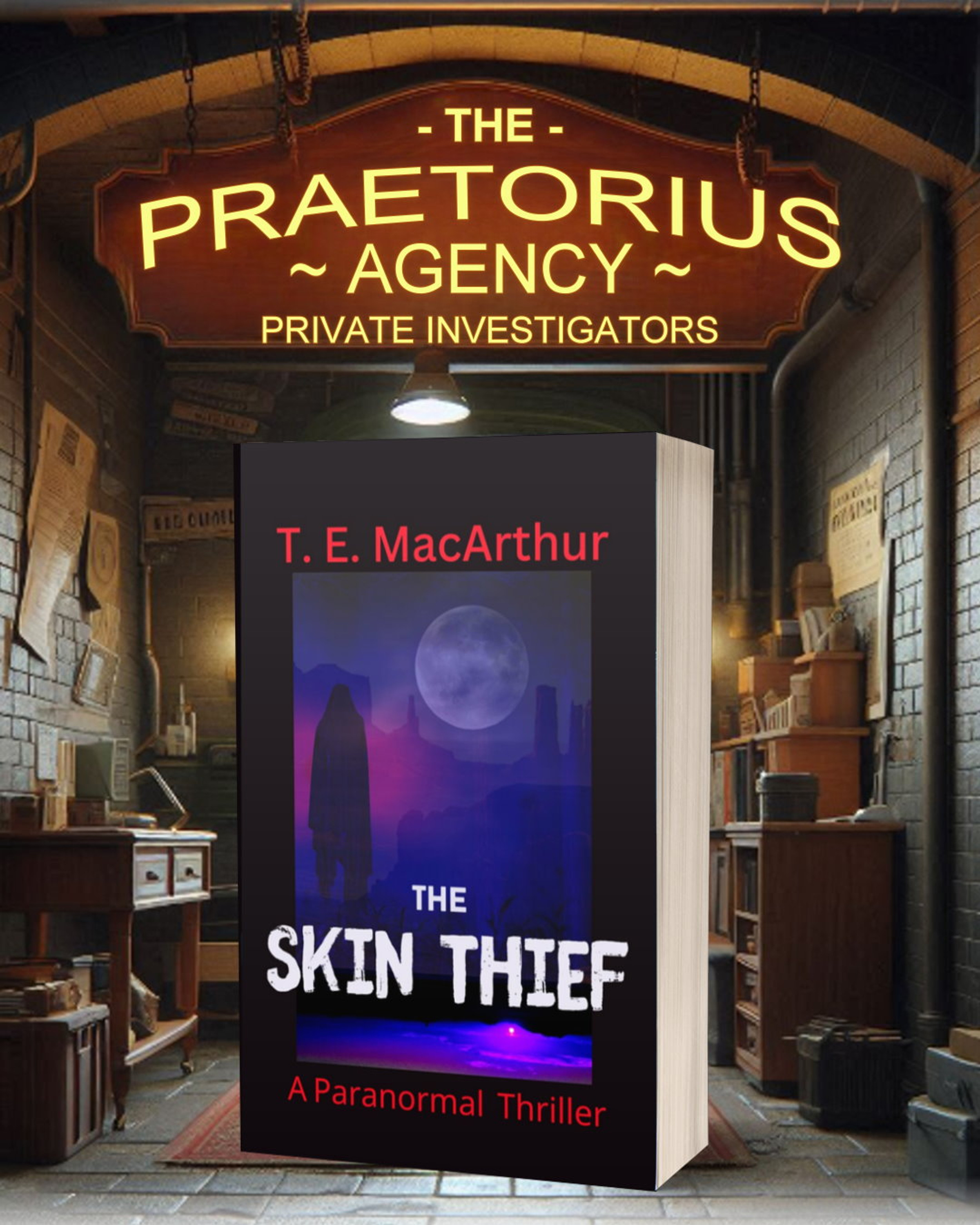 The Skin Thief | Indies United Publishing House