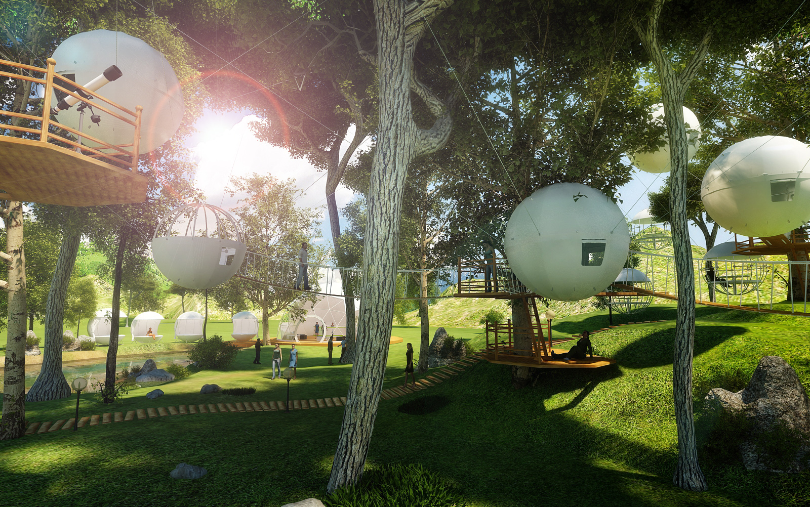 Gallery Cocoon Tree | Austalia | USA