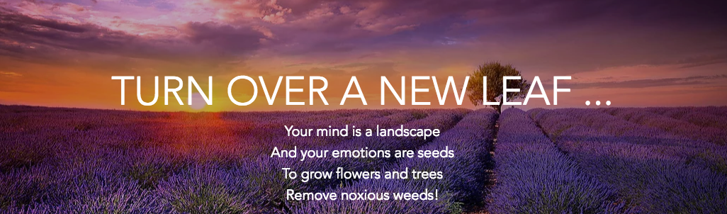 Action: 30|60|90 | Turn over a new LEAF | Wellbeing Wednesday