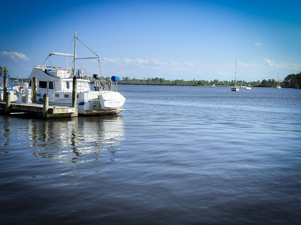 The Beauty of the Pamlico River in North Carolina