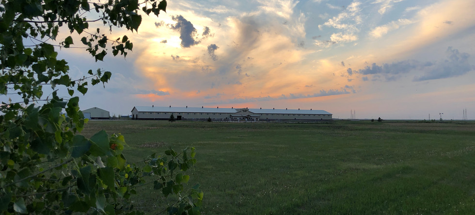 Horseback Riding Lessons|Horse Boarding|West Wind Stables