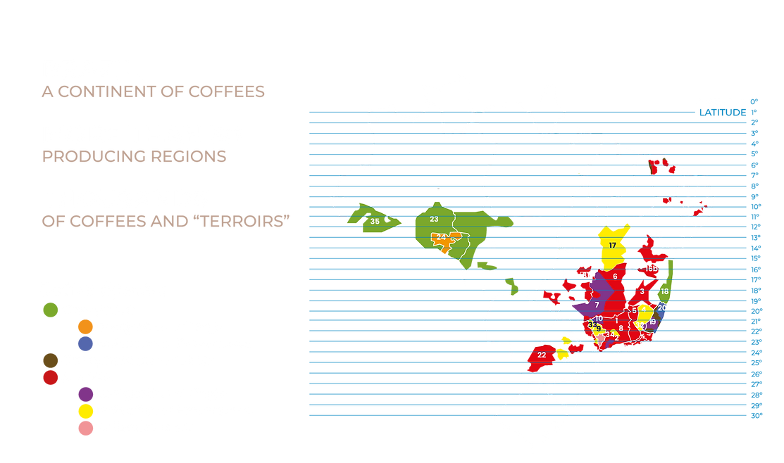 REGIONS | Latitudes Brazilian Coffees