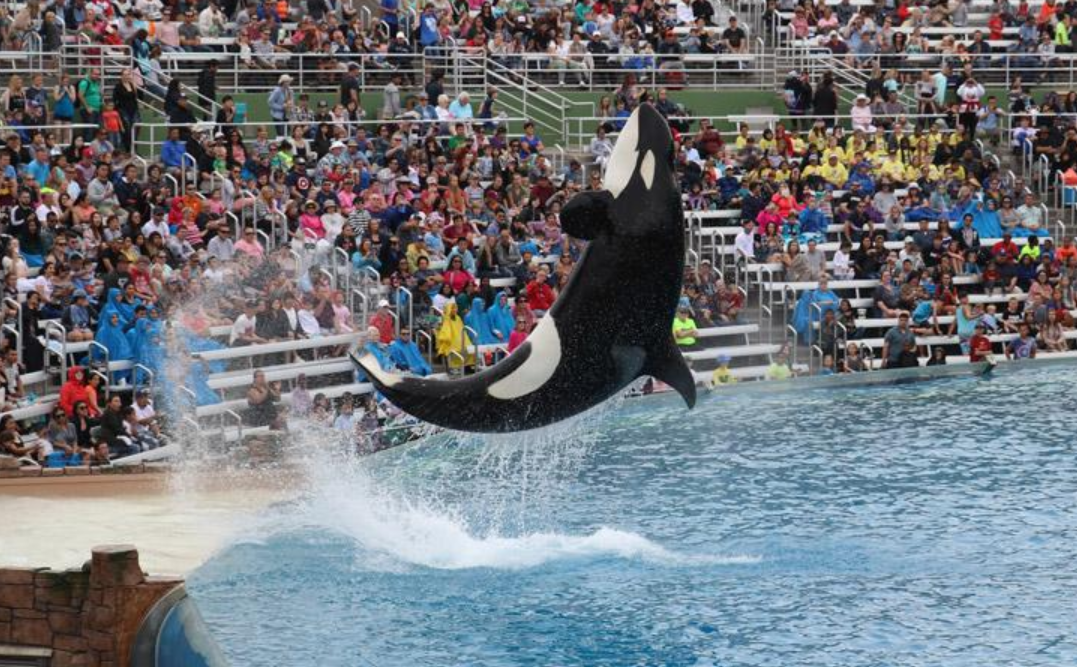 Book your tour now!!! | thesouthopen