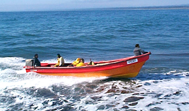 Botes de Fibra Pesca Artesanal | Star Line