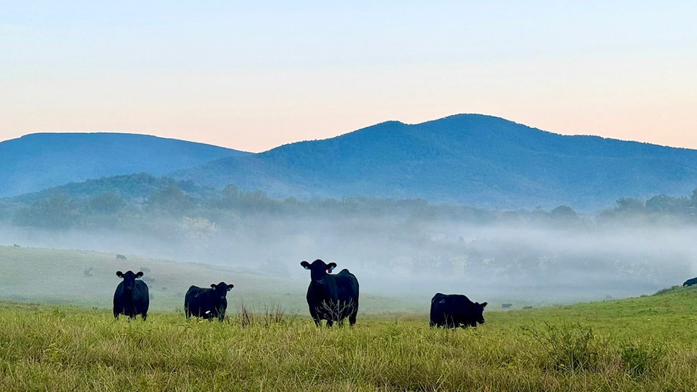 How the USDA is Taking a Stand: Protecting Ranchers from Government ...