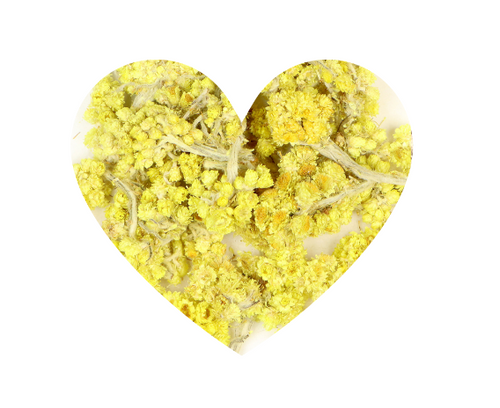 Life Everlasting Flowers | crystalconnectionnc