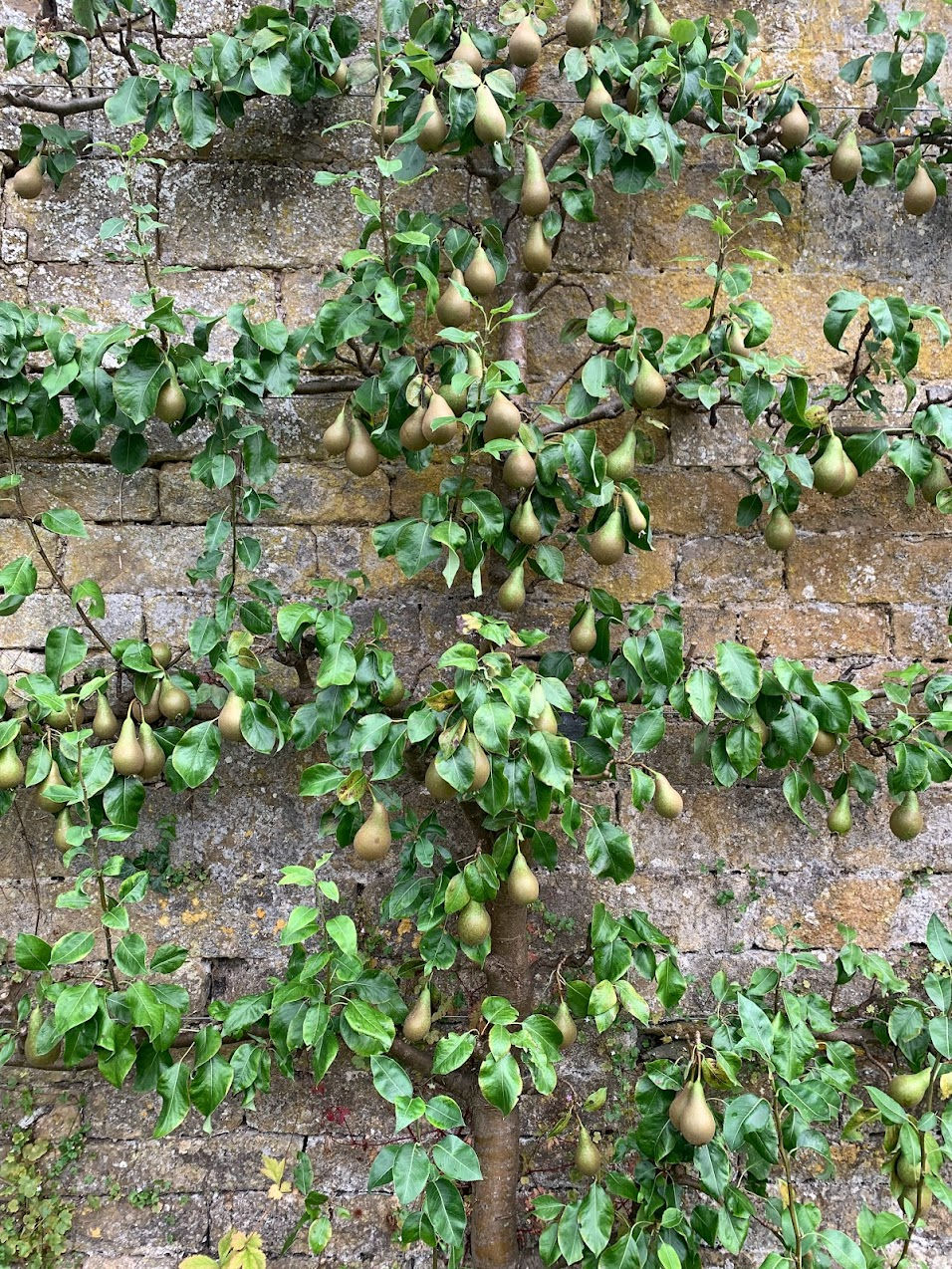 A Tour Of Chastleton House