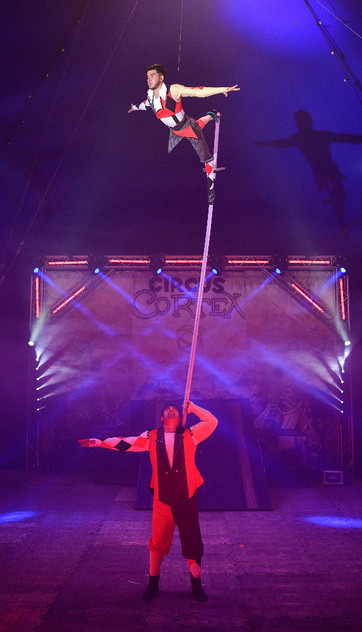 MASQUERADE | Circus Cortex