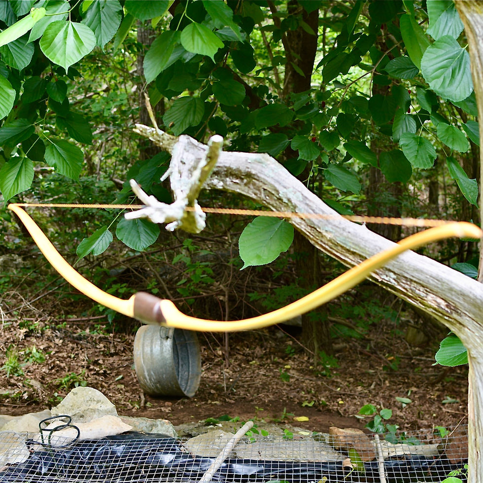 Golden Wood Bows | list and build to spec