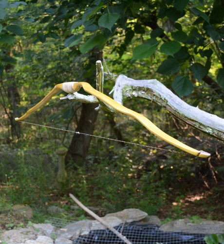 Optimal 18 | Golden Wood Bows