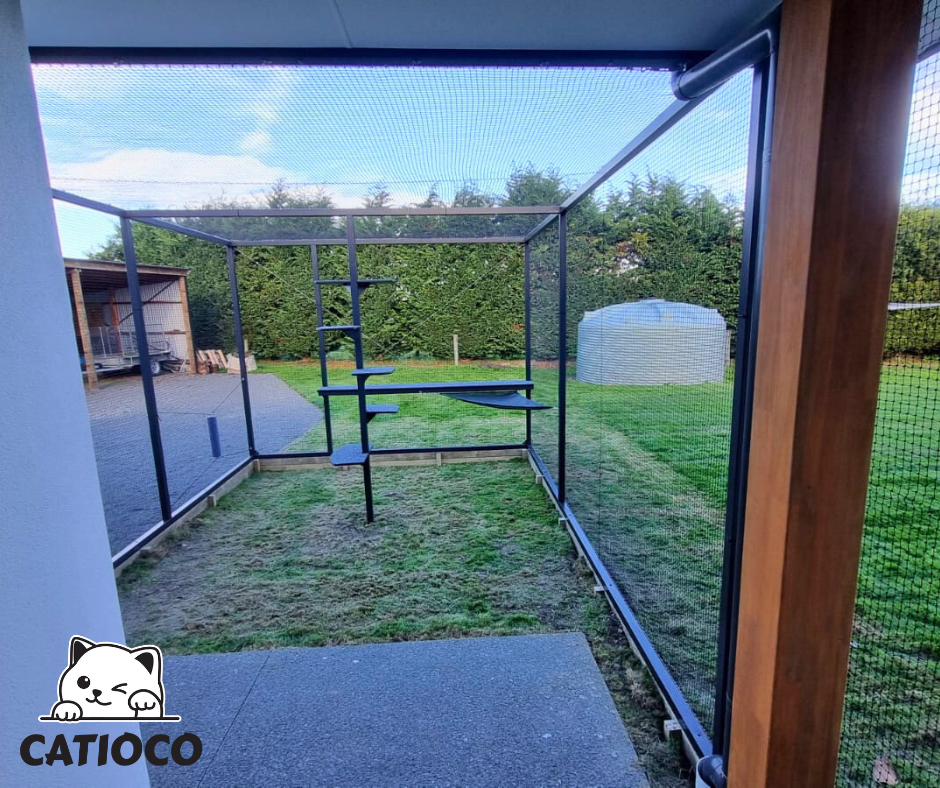 Custom vs. Pre-Made Catios – Which is Right for You?