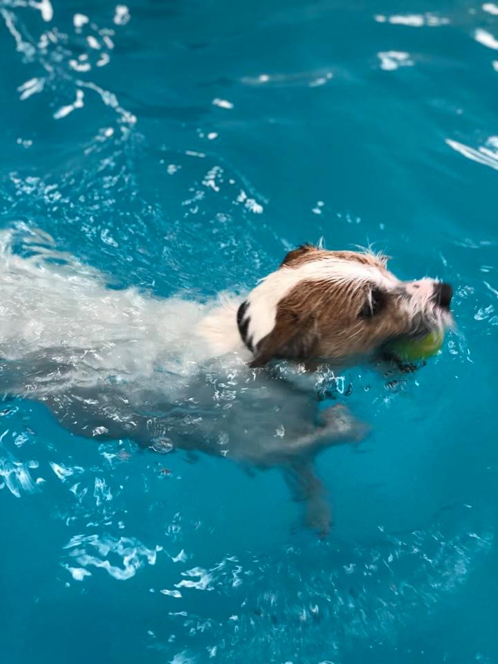 More About Swimming | Peebles Play & Stay