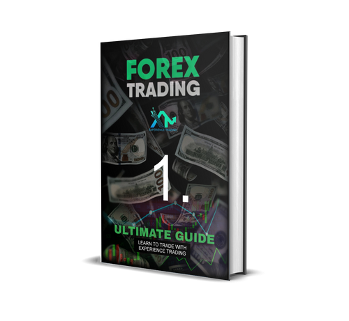 INTRODUCTION TO FOREX TRADING | Experience Trading