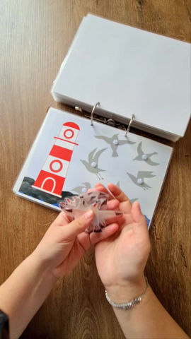 Shadow Matching Activity, Busy Binder Printable, Toddler Learning ...