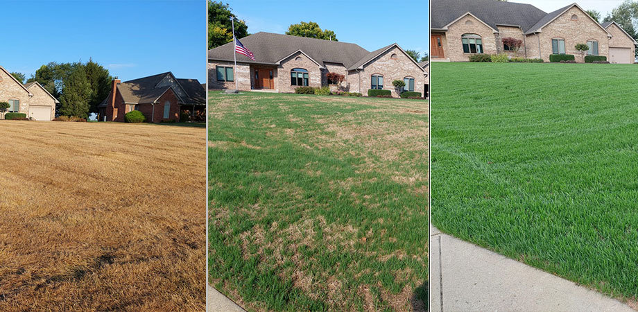 Lawn Renovation: Steps for a Complete Makeover