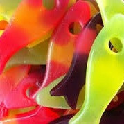 Freaky Fish | Hilbornes Sweets