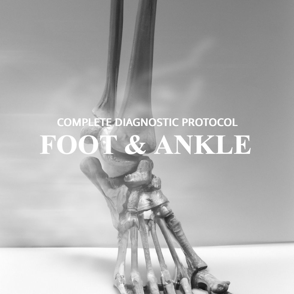 Foot + Ankle Diagnostic Protocol | MUST: Msk Ultrasound