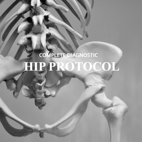 Hip Diagnostic Protocol | MUST: Msk Ultrasound
